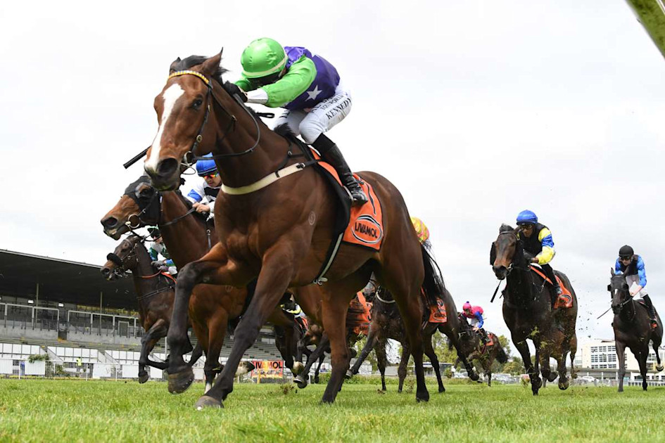 Andrew Scott: Sassy Lass can go one better in Cup