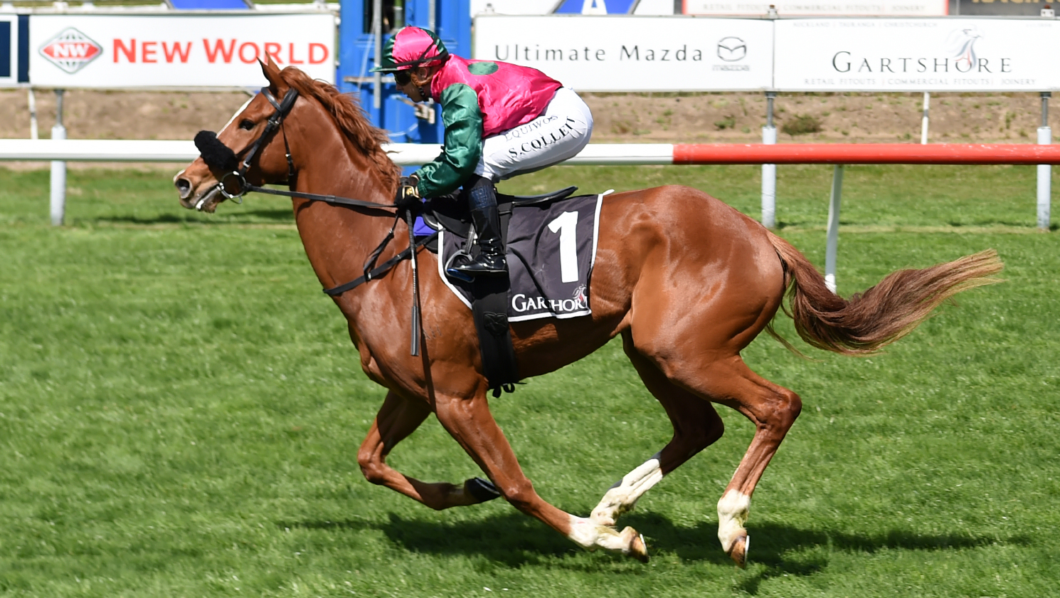 Faber scores first training win