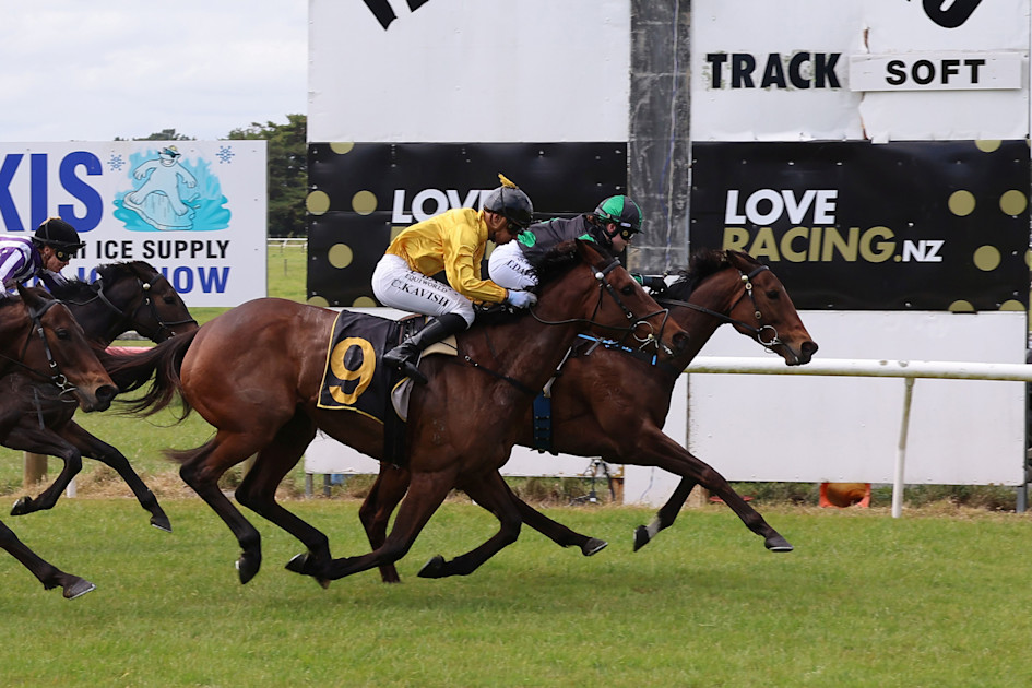 Marotiri Molly all class at Tauherenikau