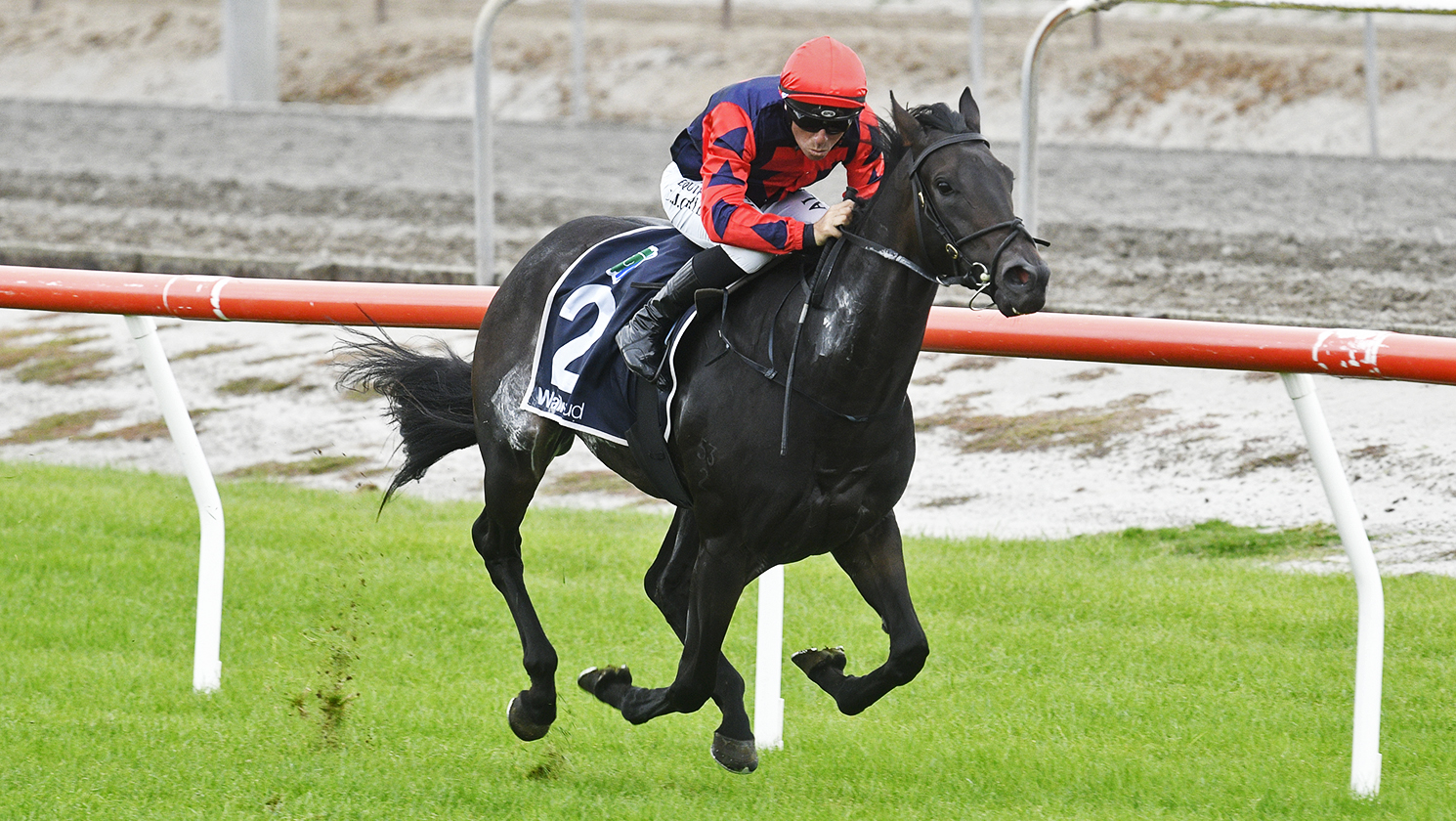 George Simon: We just want consistency