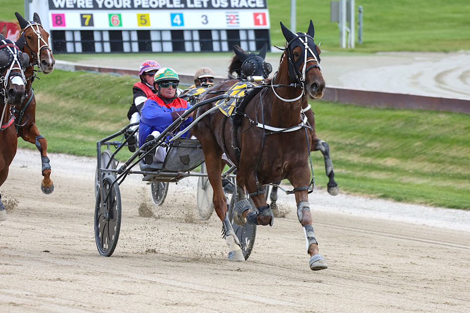 A little of the old and the new for White Racing at Timaru