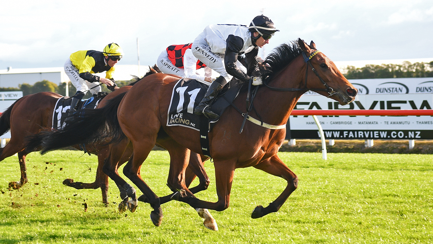 Watch Racing Live & On Demand | Trackside NZ