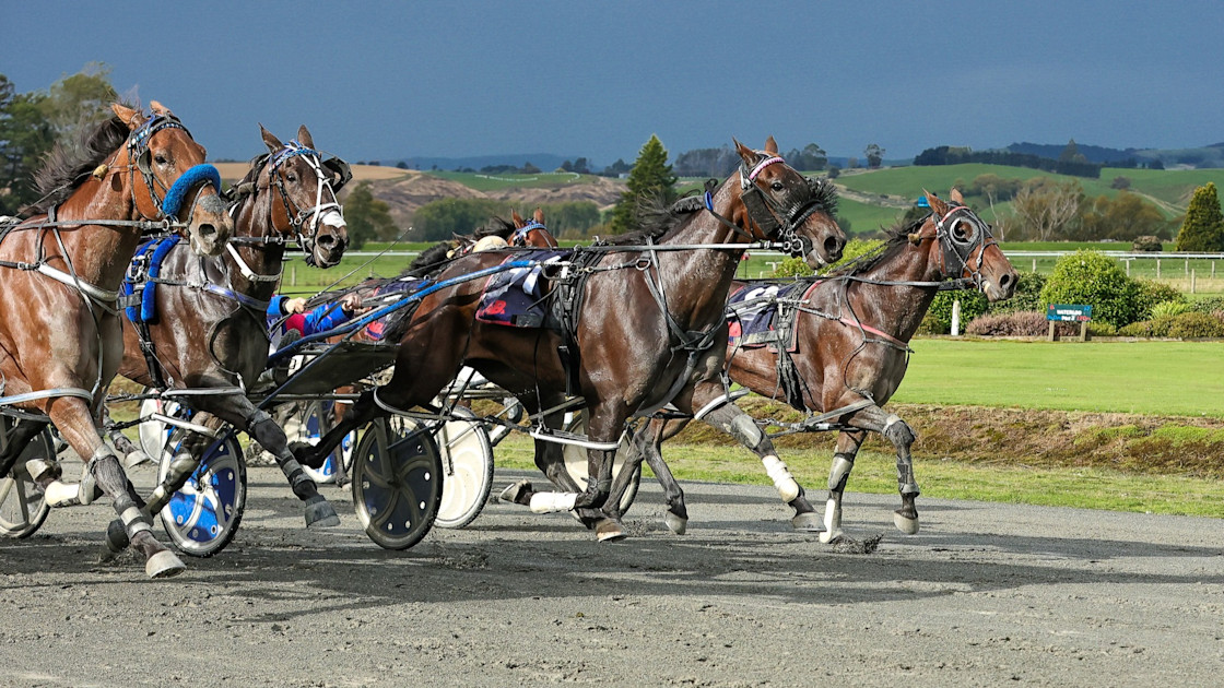 Beach Day delivers for Hurrell
