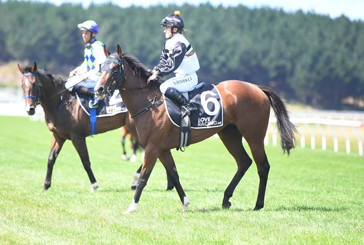 Five to Follow from Bevan Sweeney
