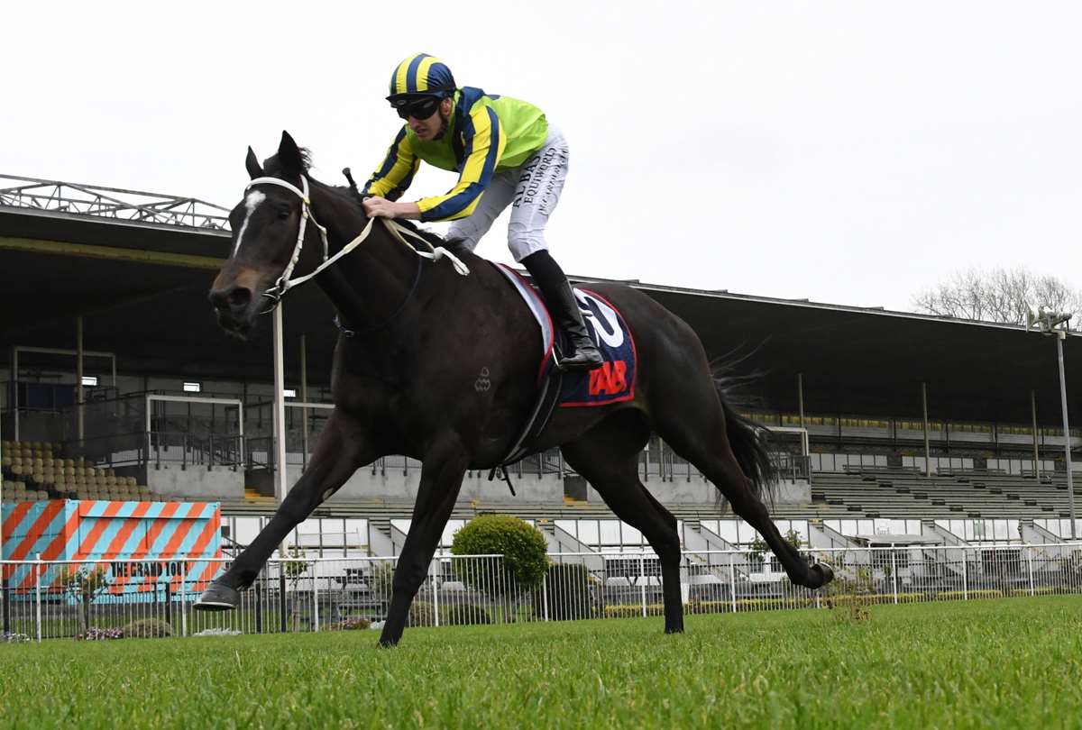 Hunting down winners - Stephen Hunt runs the numbers