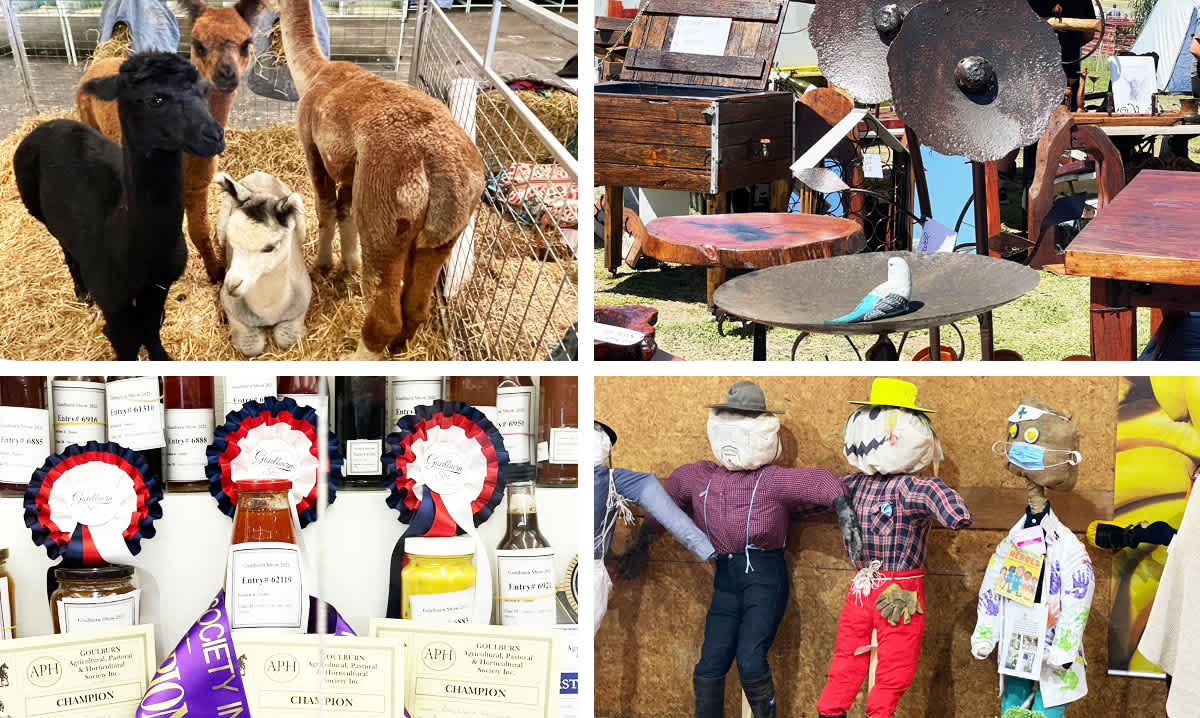 Something for everyone at the 2021 Goulburn Show | The Goulburn Phoenix ...