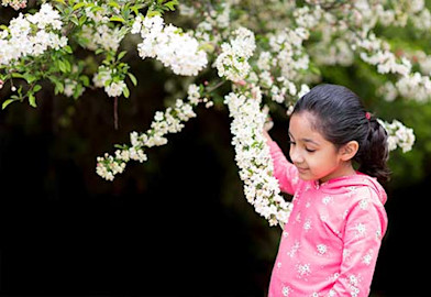 Spring in India Image Collection - Indian Spring Stock Photos