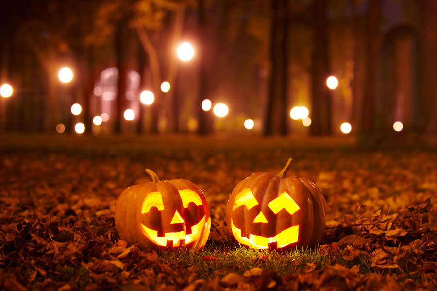 Halloween Stock Photos, Royalty-Free Images and Vectors - Shutterstock