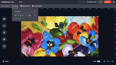 How to Resize Images Online - Free Image Editor - Shutterstock