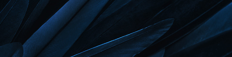 Phantom Blue Stock Photos, Royalty-Free Images and Vectors - Shutterstock