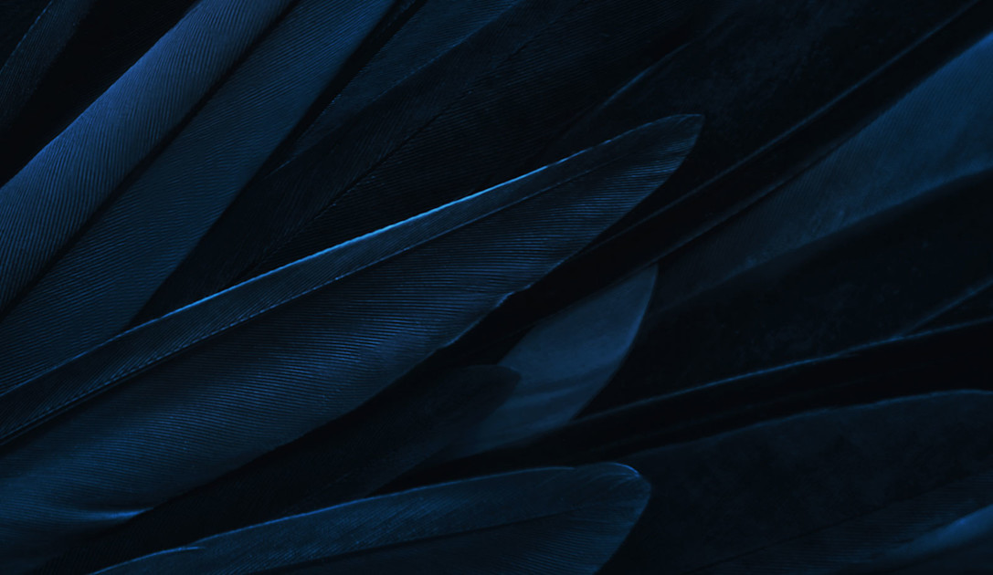 Phantom Blue: fotos stock, imagens e vetores livres de direitos ...