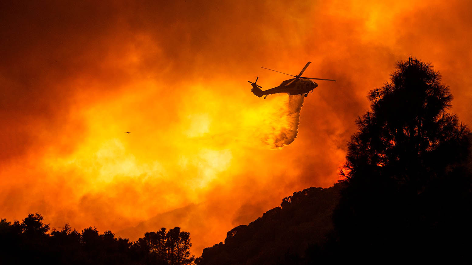 2020 The Year in Pictures | Shutterstock Editorial
