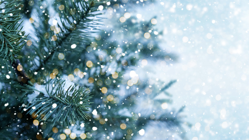 Snow Images, Pictures, Photos - Snow Photographs | Shutterstock