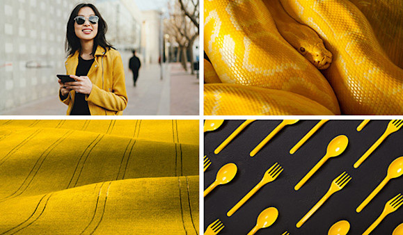 The Shot List | Shutterstock Contributor