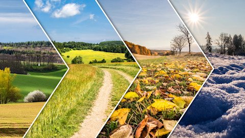 Imagens e fotos de Seasons - Seasons Fotografias | Shutterstock