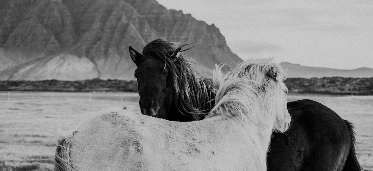 High Quality Stock Photos & Images 2023 | Offset | Shutterstock