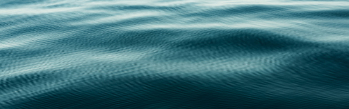 High Quality Stock Photos & Images 2023 | Offset | Shutterstock