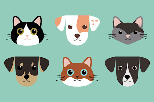 Download free dog stock images and photos - Shutterstock