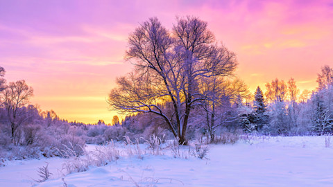 Stunning Winter Images, Pictures, Photos - Shutterstock