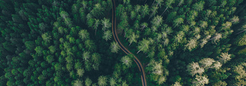 Download Shutterstock images—free! | Shutterstock