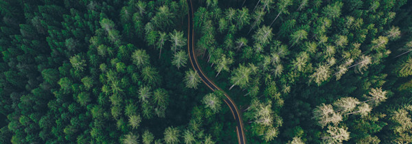 Download Shutterstock images—free! | Shutterstock