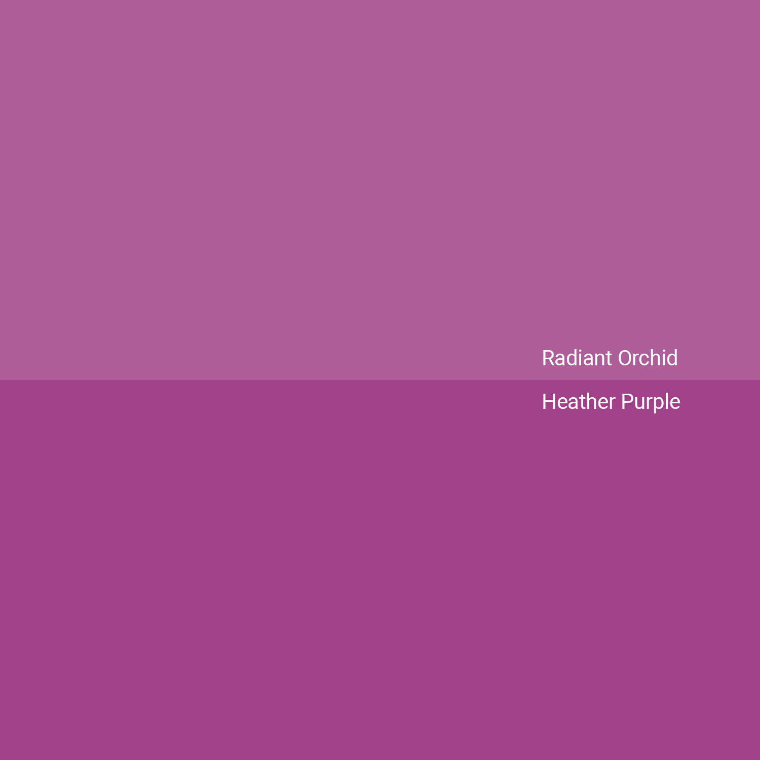 Orchid Color Code GM / General Motors Orchid / #d2b1de Hex Color Code,
