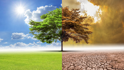 How to Edit Images Online - Free Image Editor - Shutterstock