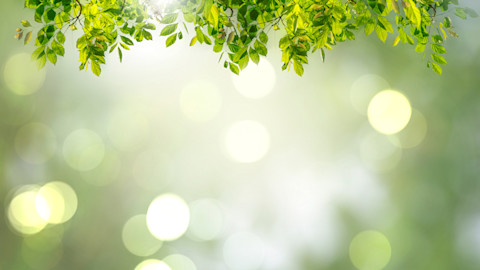 Seasonal Backgrounds Images et photos – Seasonal Backgrounds ...