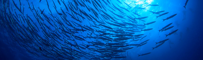 Creative Trends 2022: Europe Stock Photos, Royalty-Free Images and ...