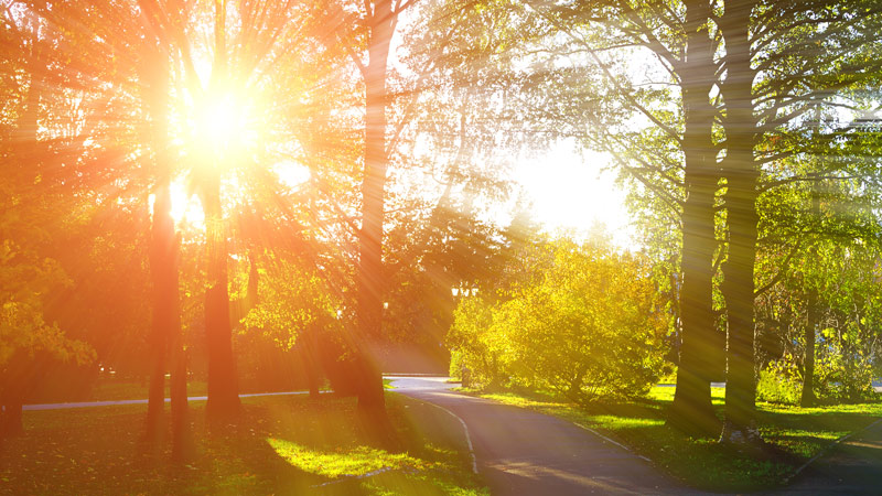 Sun Images, Pictures, Photos - Sun Photographs | Shutterstock