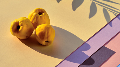 Change hue colors online - Free Editor - Shutterstock