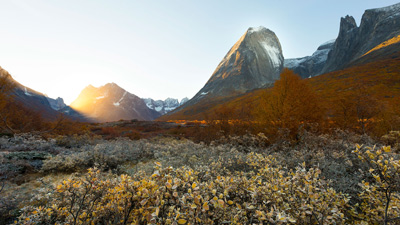 How to add an Image Border - Free Editor - Shutterstock