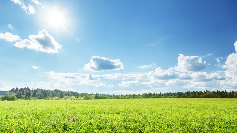 Sun Images, Pictures, Photos - Sun Photographs | Shutterstock