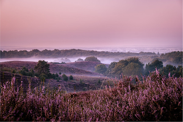 Netherlands Nature, Towns, Landscapes, People - Shutterstock