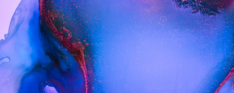 WordPress plugin | Shutterstock