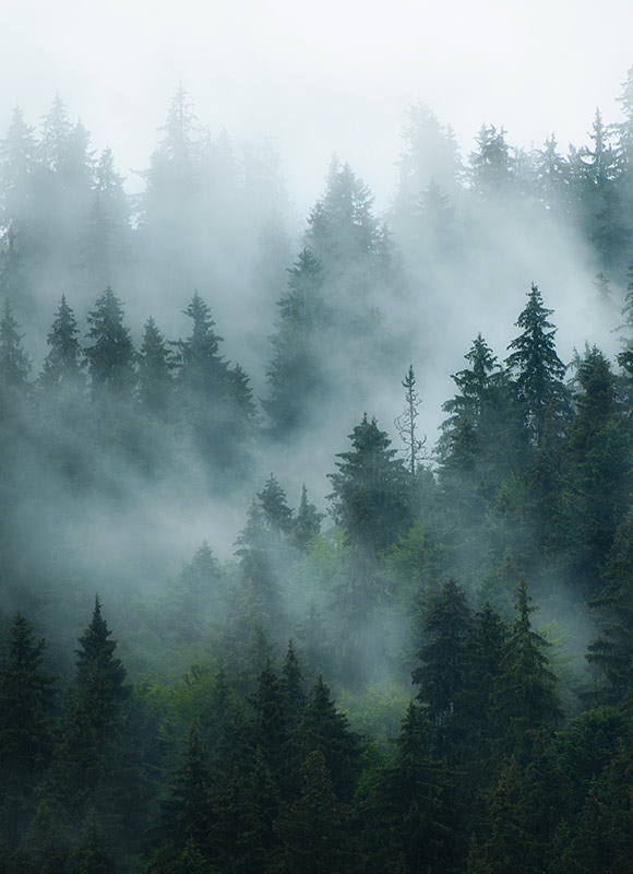 Vidéos de stock et clips vidéo HD et 4K libres de droits | Shutterstock