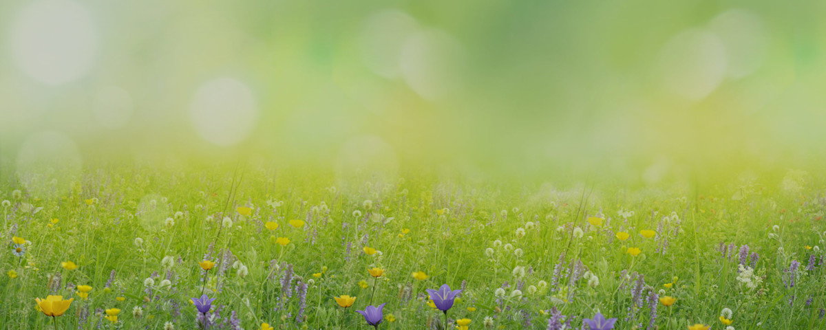 Summer Images, Pictures, Photos - Summer Photographs | Shutterstock