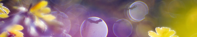 New on OFFSET Stock Photos, Royalty-Free Images and Vectors - Shutterstock