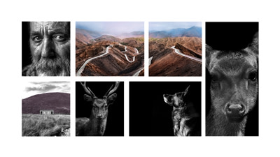 How to Add Effects to Photos - Free Editor - Shutterstock