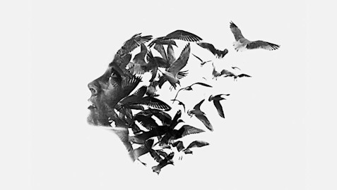 32 Free Advanced Adobe Photoshop Tutorials