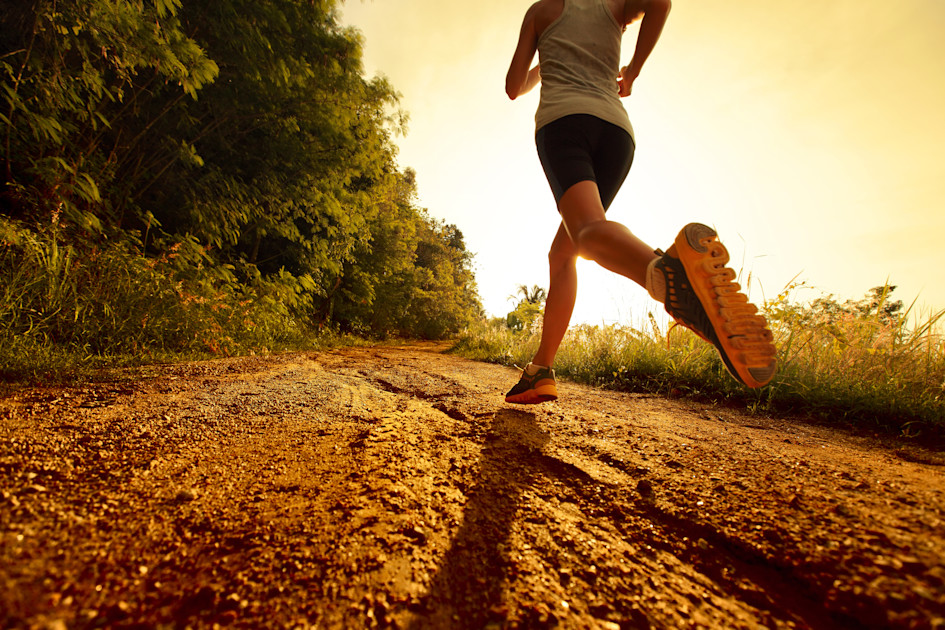 Free Unlimited Access | Shutterstock