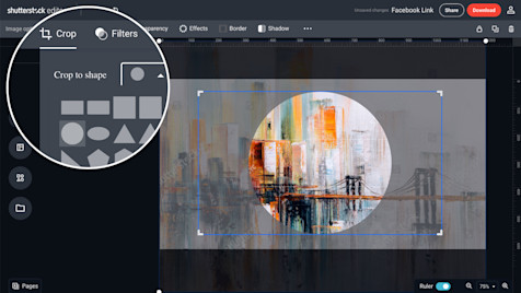 How to Crop Images Online - Free Image Editor - Shutterstock