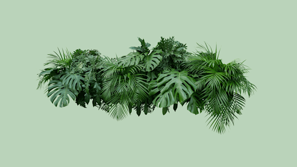 Objects Images, Pictures, Photos - Objects Photographs | Shutterstock