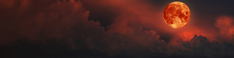 The Macabre Stock Photos, Royalty-Free Images and Vectors - Shutterstock