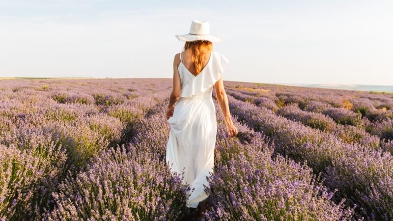 Fotos de stock gratuitas de Shutterstock