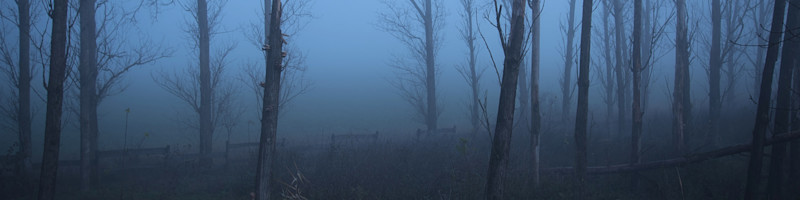 Horrorscapes - Curated Collection - Shuttertsock