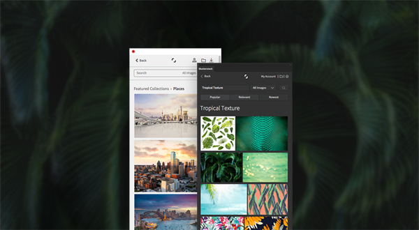 Free Stock Photo Plug-ins for Chrome, Photoshop, Illustrator ...