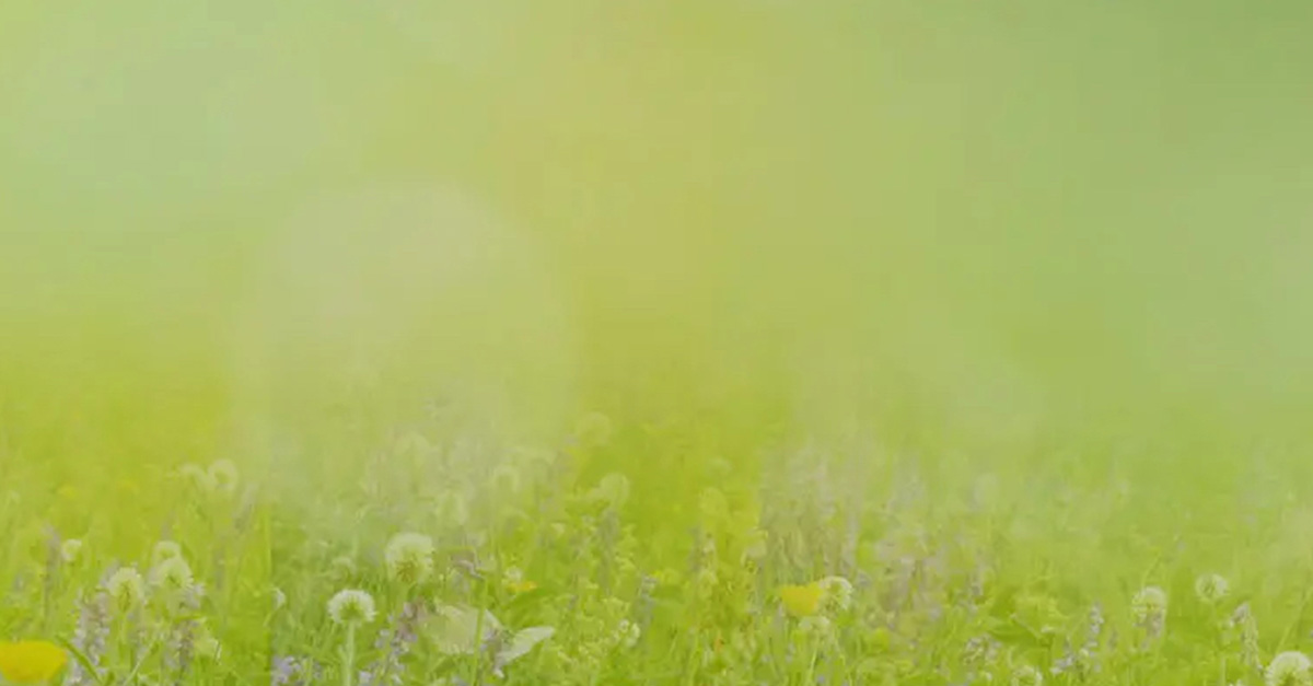 Stunning Summer Images, Pictures, Photos - Shutterstock