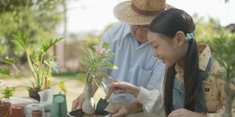 AAPI - Images of Hope & Inspiration | Shutterstock