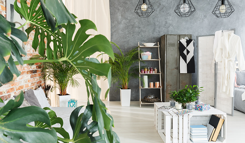 Eco Thrifting Stock Photos, Royalty-Free Images and Vectors - Shutterstock